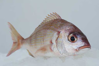 Dom-Cuisine: Delicieux pageot