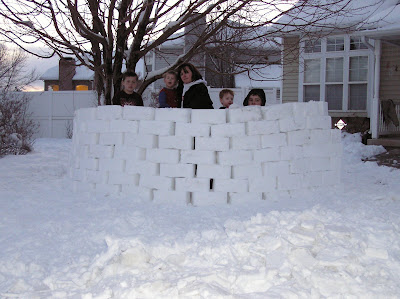 Me and my Boys: The Awesomest Snow Fort Ever!