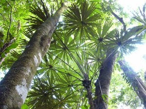 Micutza Avril :: ¤¤... ...¤¤:::Tim'$:::¤¤...