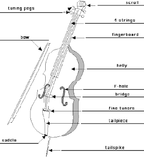 NINU JOSEPH: The Viola
