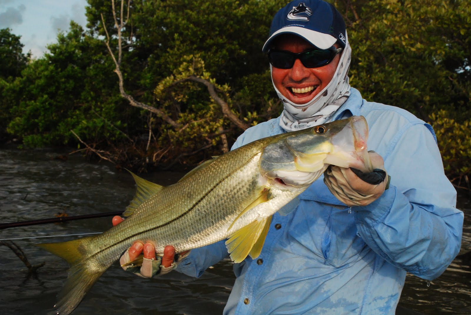 OUTSIDE AGAIN: SNOOK ON THE FLY