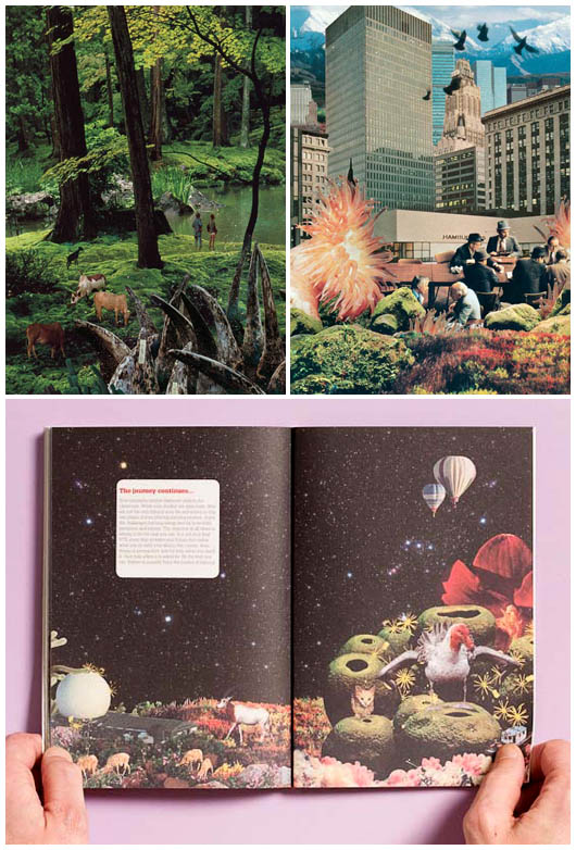 The Design Files: Interview - Tin & Ed