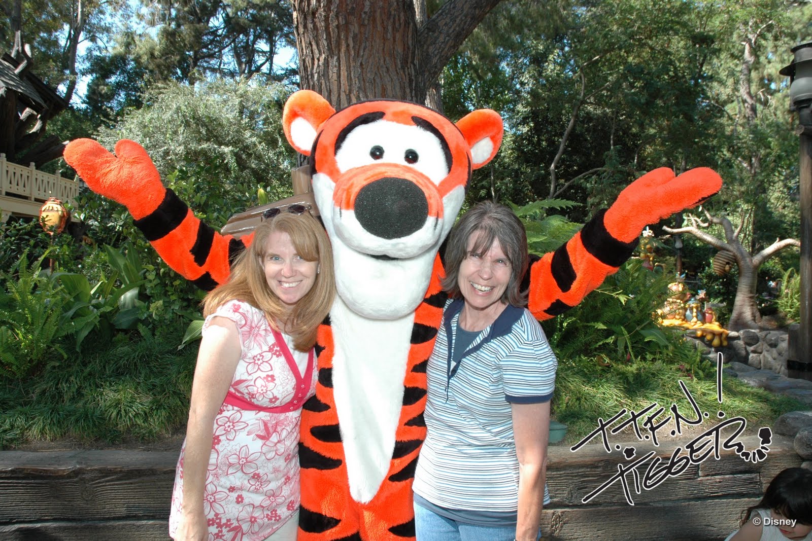 The Emery Family: Disneyland Pictures