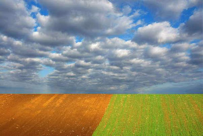 Fotografije Srbije - fotografije, slike, gradovi, jezera, reke, planine ...