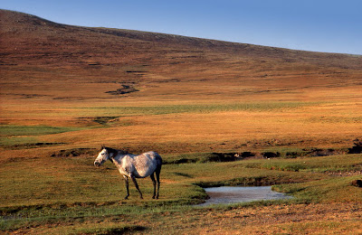 Fotografije Srbije - fotografije, slike, gradovi, jezera, reke, planine ...