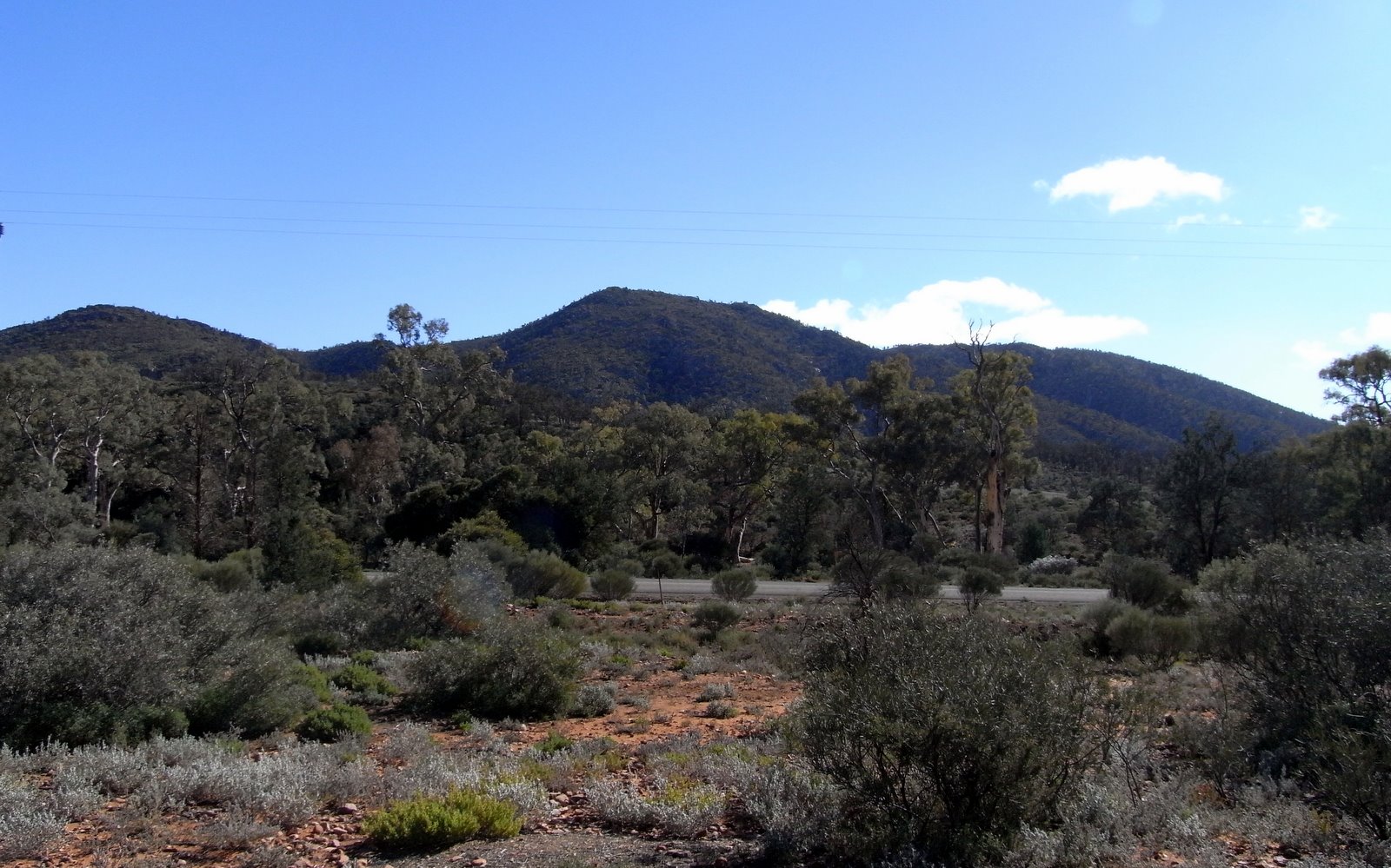 BejoPics: HH Day 7 : Copley to Mt Chambers Gorge 02 (Iga Warta)