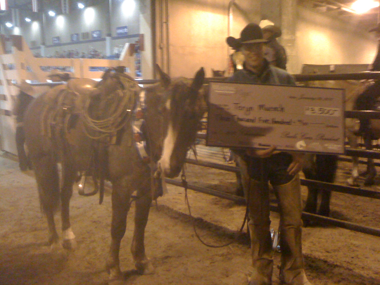 Teryn Muench Performance Horses