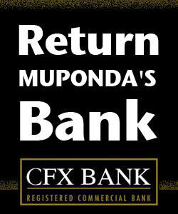 Gilbert Muponda: Fraud by Raymond Njanike,Farai Rwodzi & Interfin Bank ...