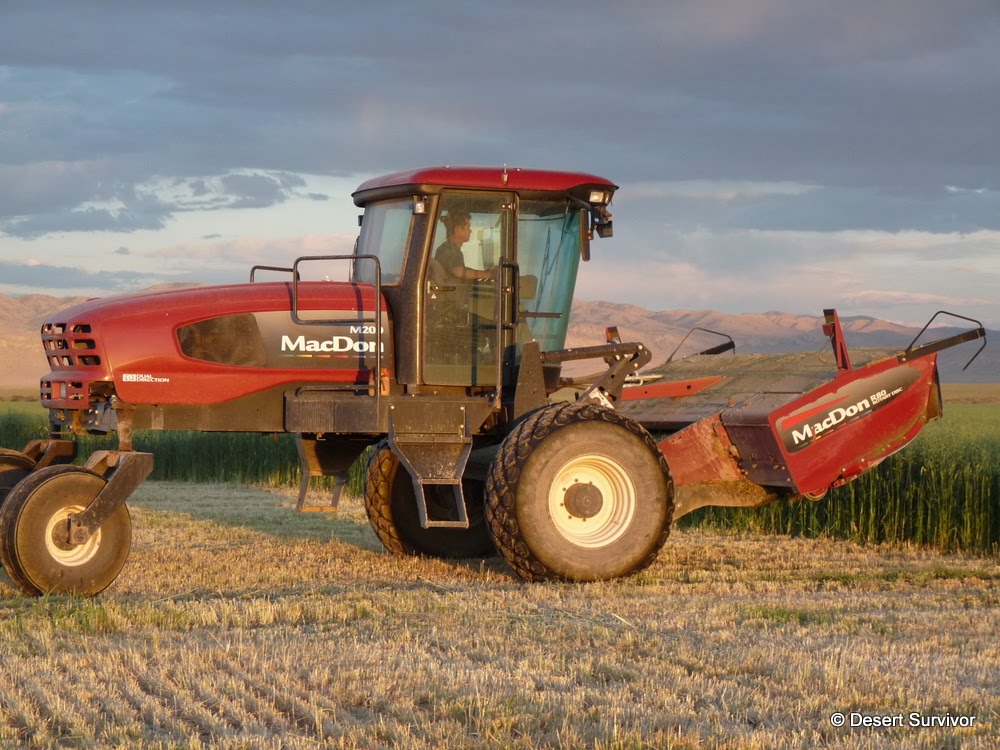 Desert Survivor: An Evening in the Swather