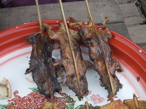 My Album: Rat Meat is Delicious? | Pictures | Photos | Images