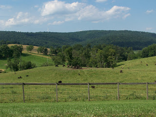 Blue Ridge Mountain Home: Views of the Northern Virginia Countryside