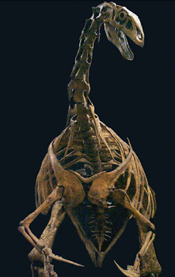 Rare Resources: Therizinosaur—Mystery of the Sickle-Claw Dinosaur