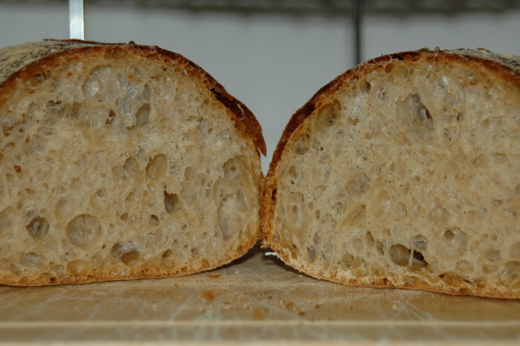 Cor's Daily Bread: Research and Development: Project Peasant Bâtard