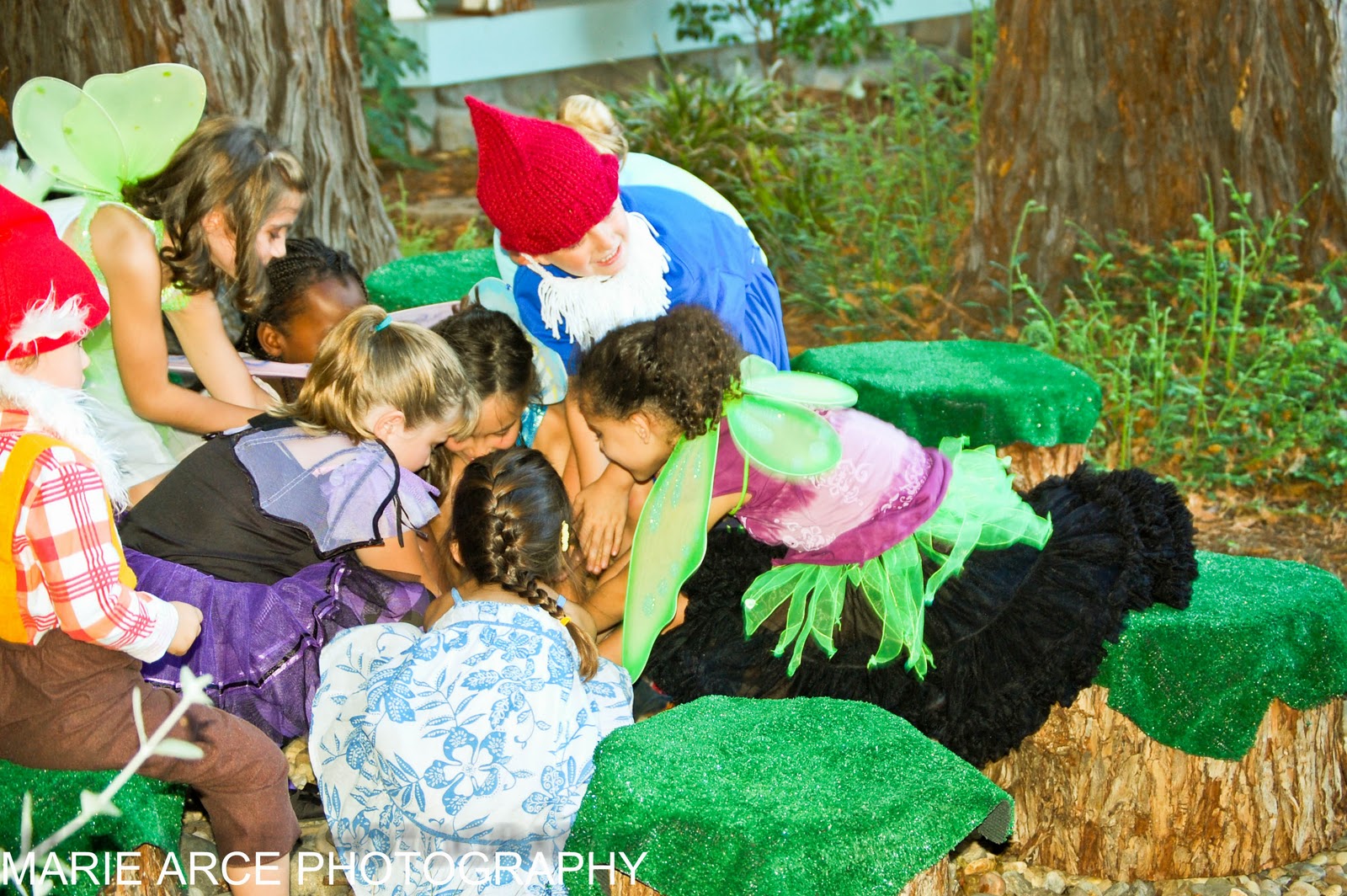 Marie Arce Photography