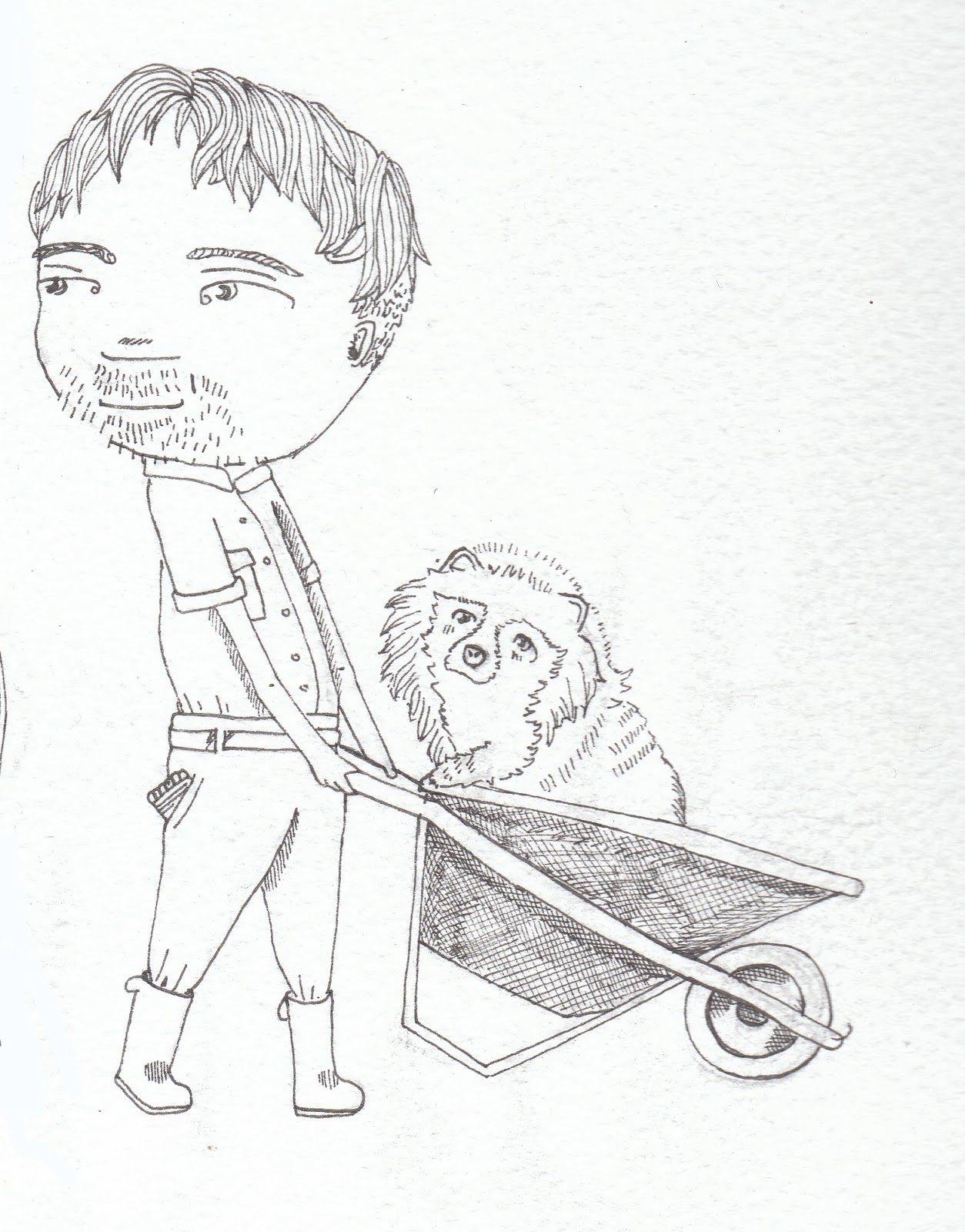 Gerald Durrell illustrations