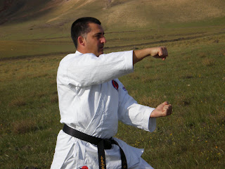 Does anyone know what kata this move is from? : r/karate