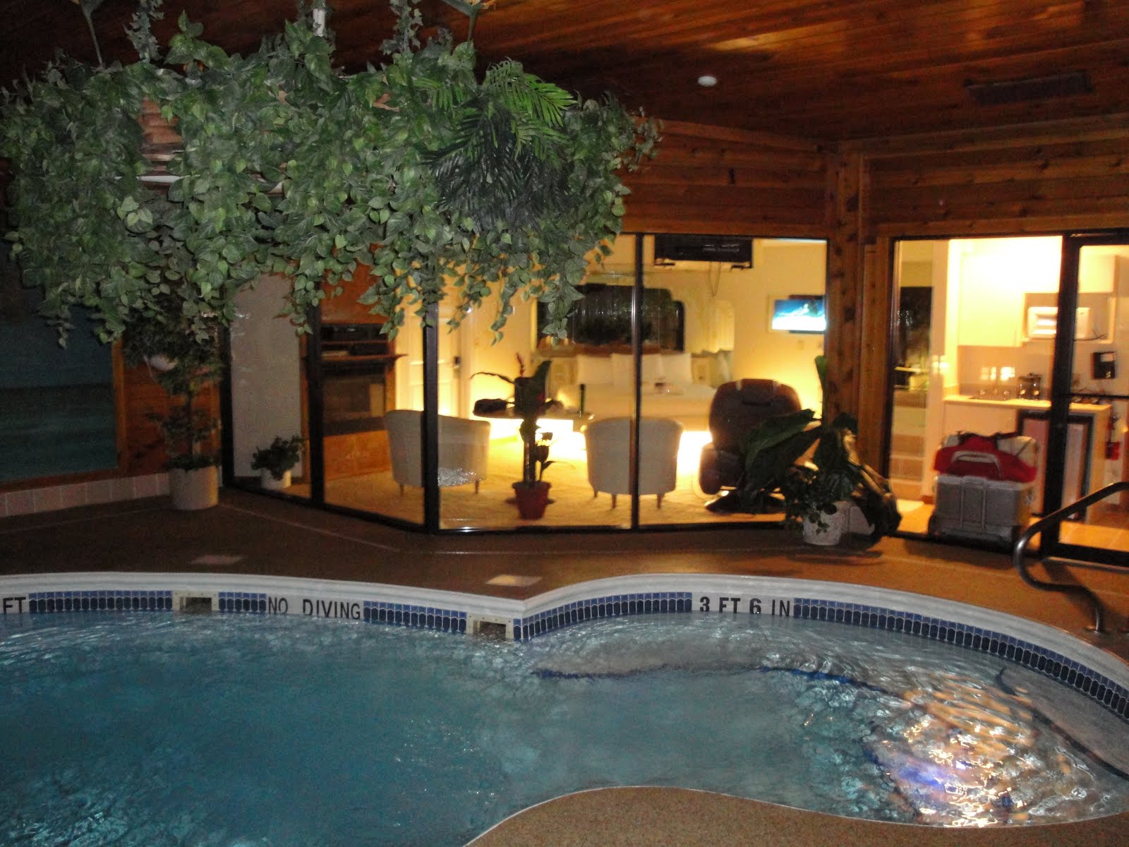 Flowers On My Side Of The Wall: Sybaris, October 5, 2010