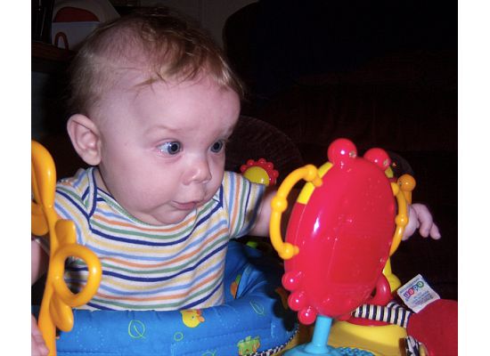 The Pearl in the Oyster: January 2011