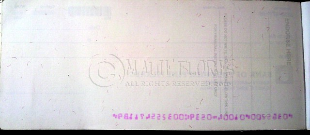 Standard Dorsal Format for Philippine Checks - The 24-Hour Mommy