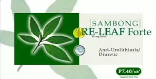 Re-Leaf Forte Sambong Capsules ~ Mauie Flores