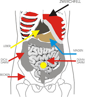 taiji for two: (11) ATMEN OHNE ATMEN - ODER: VOM ZWERCHFELL