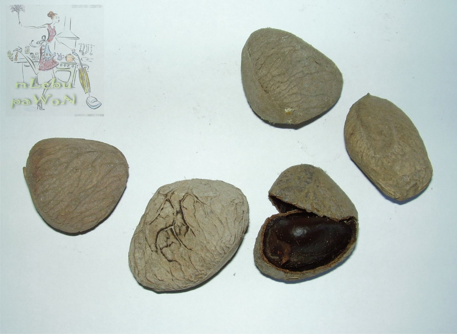 KLUWEK - mlebu pawon