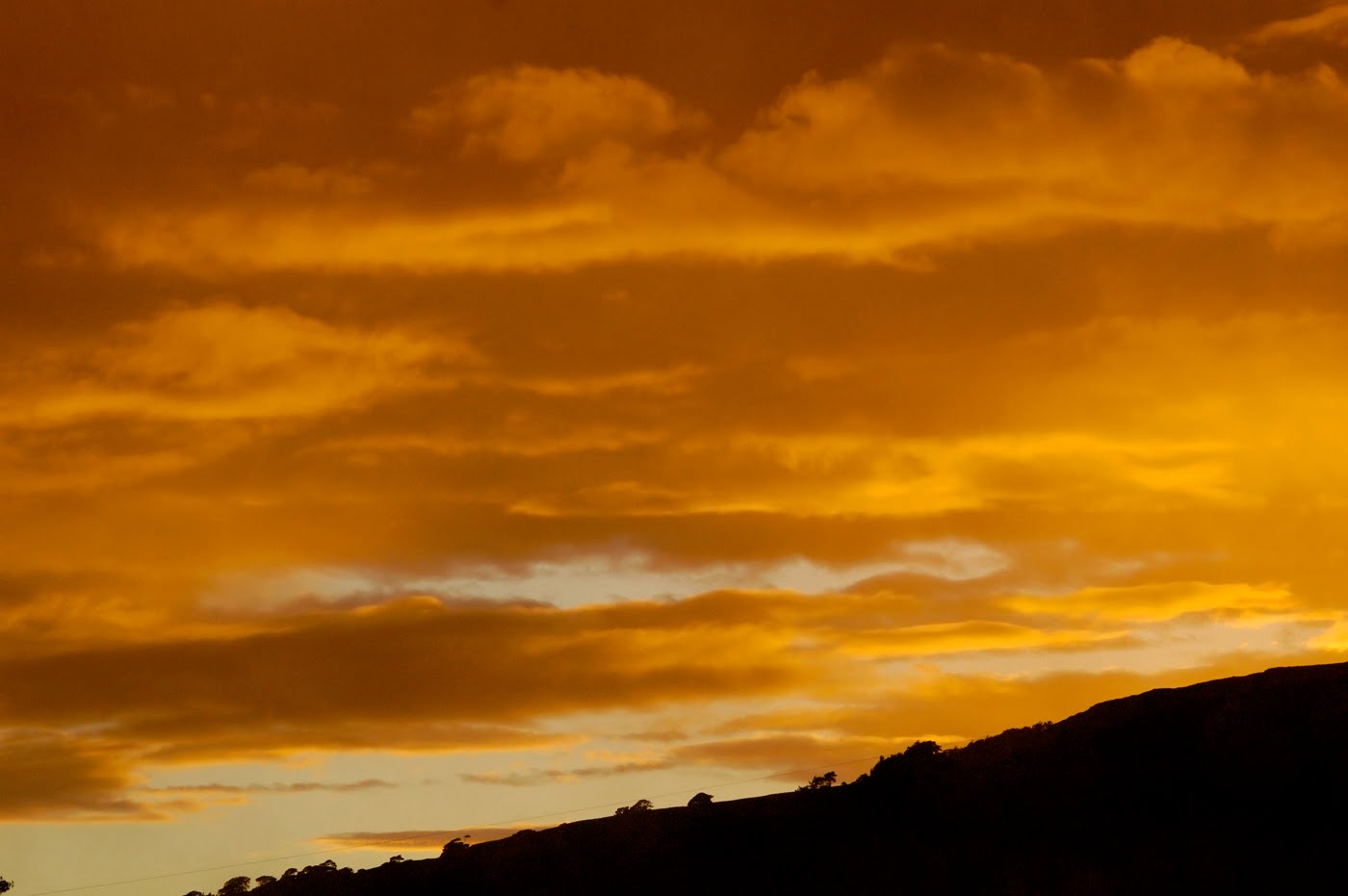 Scottish Wildlife Blog: Duntocher, West Dunbartonshire