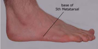 Anatomy of Foot and Ankle | Podiatry