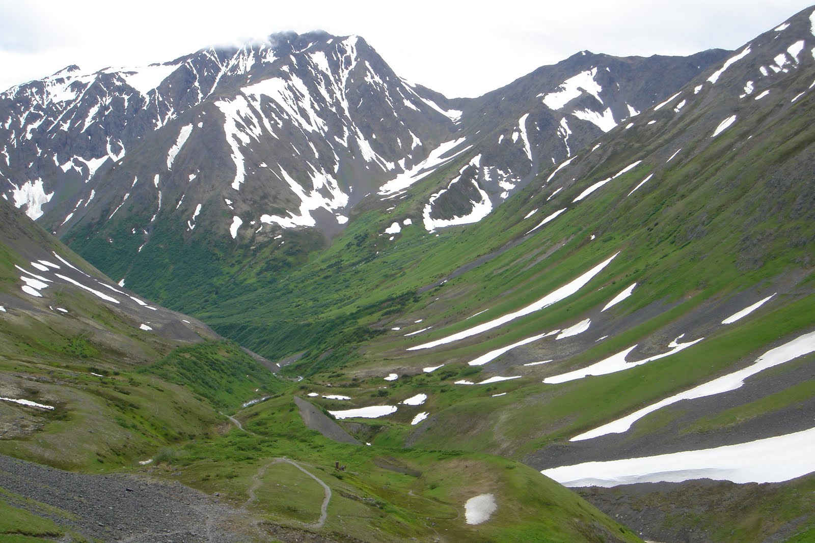 Hamilton Highlights: Crow Creek Pass Trail