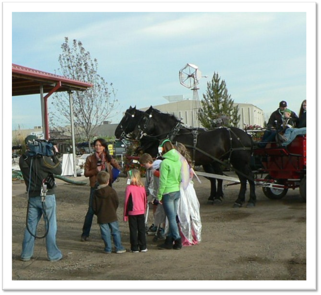 Paradigm Percherons: Alberta Children benefit from Pumpkins & Percherons