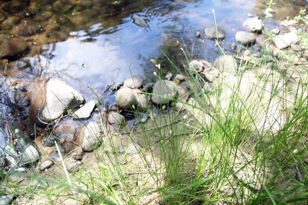 your apples are my oranges: jaybear and shmemily ride again: the ghost ...