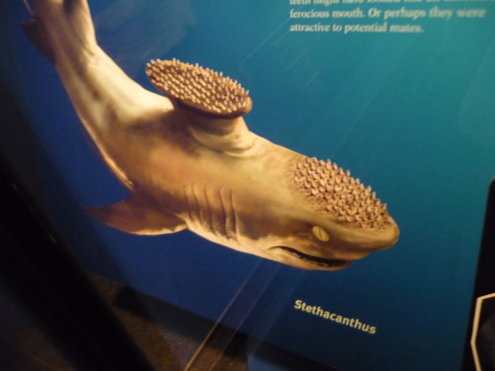 Chronicles of Lindsay: August 2010