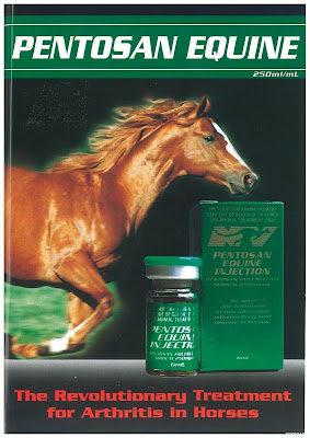 MANO Equestrian Services: PENTOSAN EQUINE