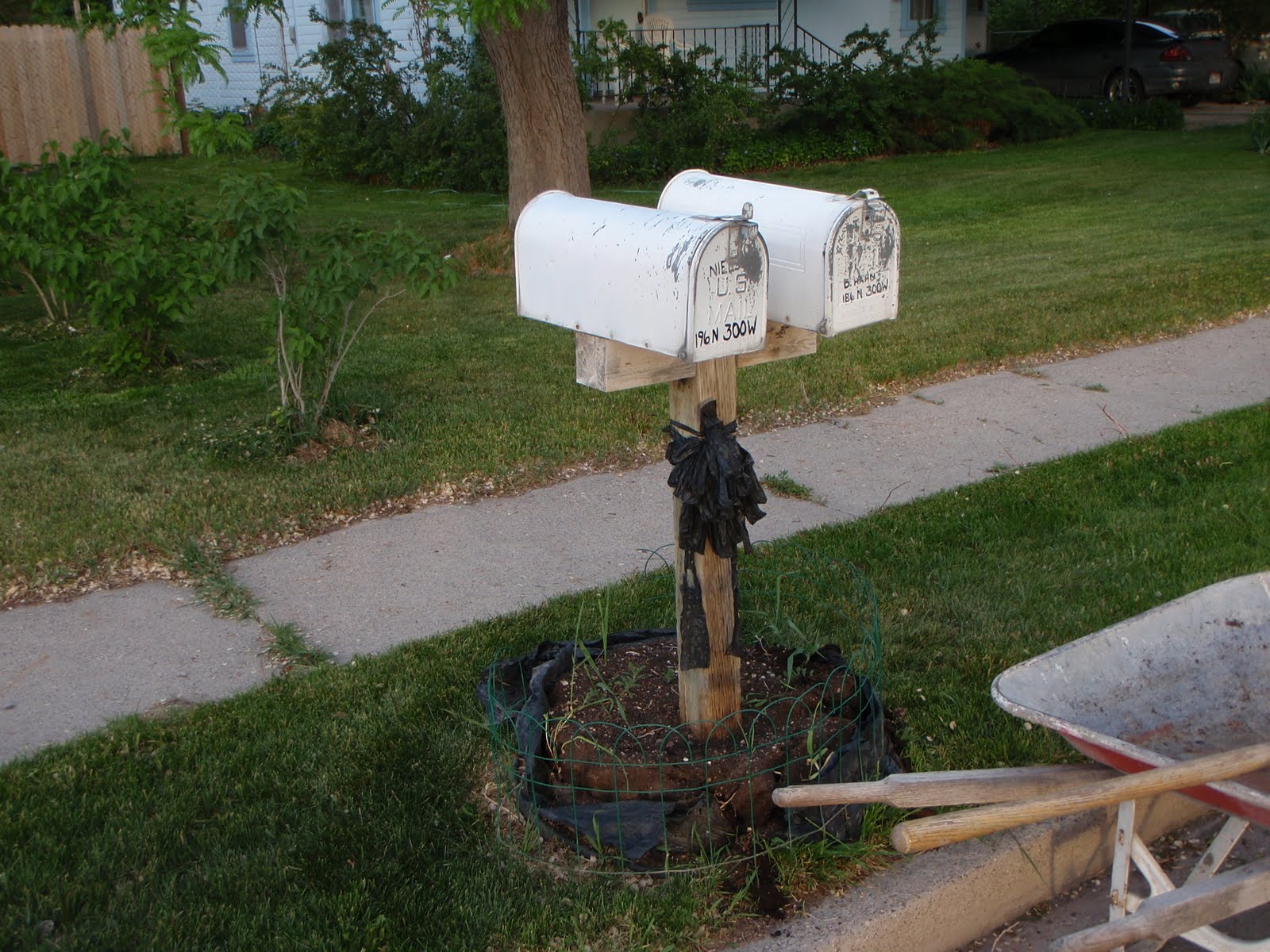 AnnieOfBlueGables: New Mailbox