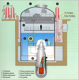 Desarrollo y Defensa: CAREM: El reactor nuclear Argentino