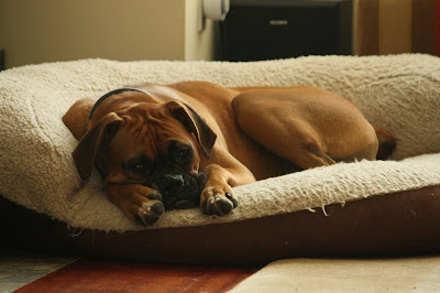 Todd Moore Takes APAC!: A "Special" Form of Colitis