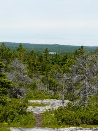 Nadine's Trails and Travels: Crowbar Lake Trail