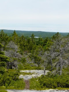 Nadine's Trails and Travels: Crowbar Lake Trail