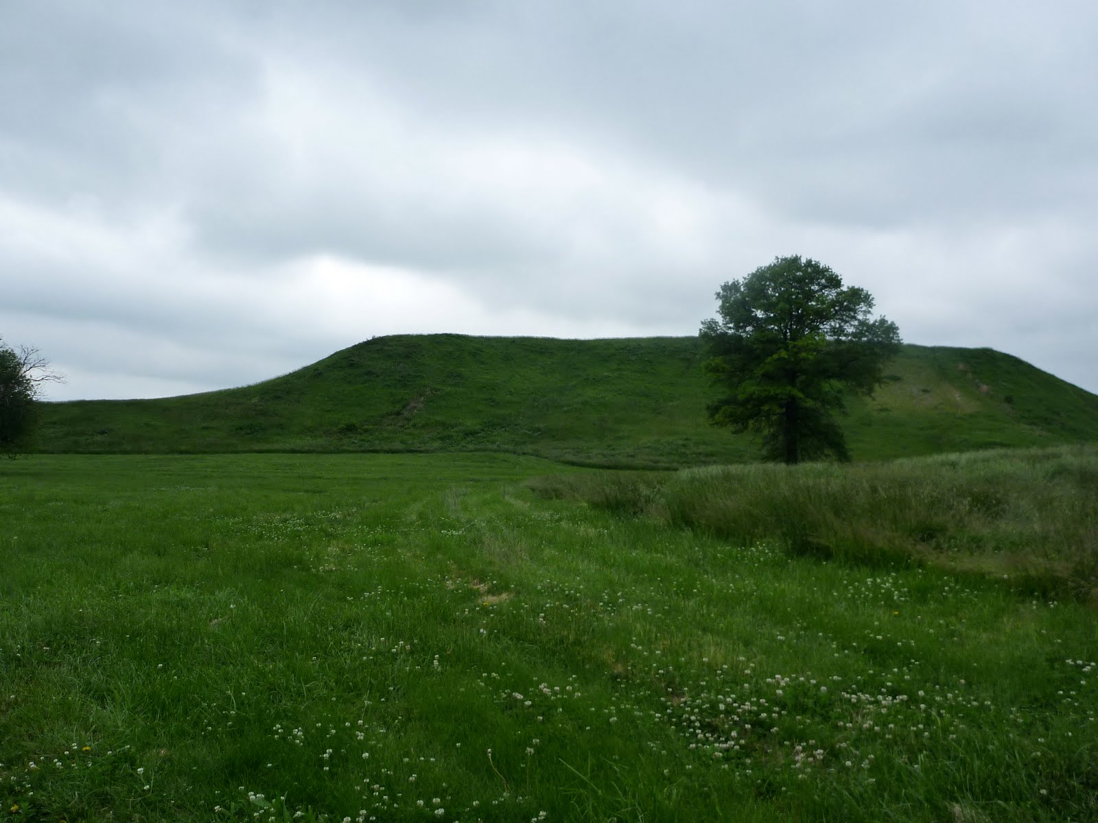 Pete and the Wonder Egg: Cahokia Mounds