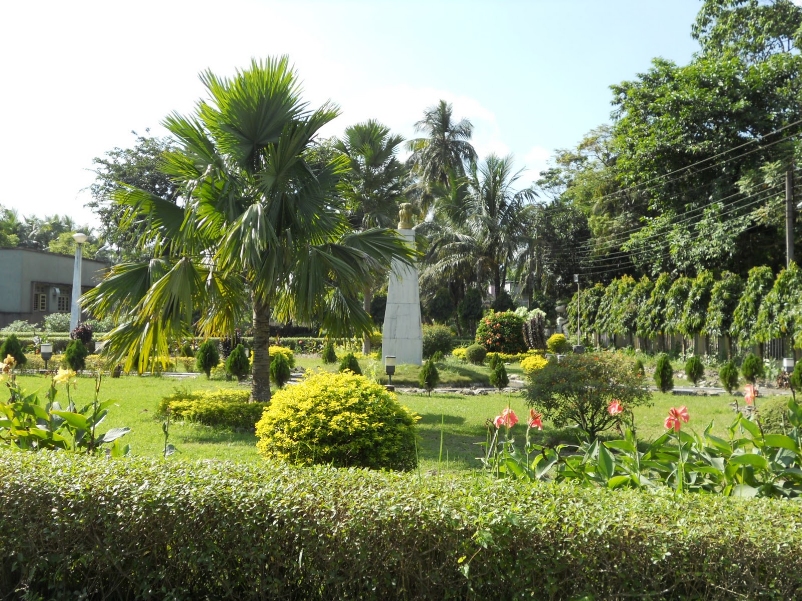 DINHATA: CTRI PARK