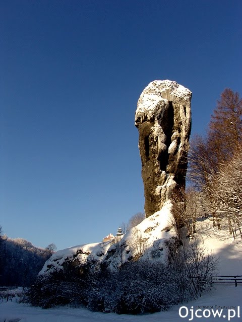 Ojcowski Park Narodowy: Maczuga Herkulesa