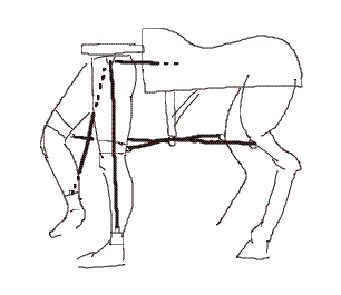 Trilemma Adventures: Centaur Details