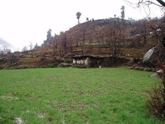 shangla: shangla by inam