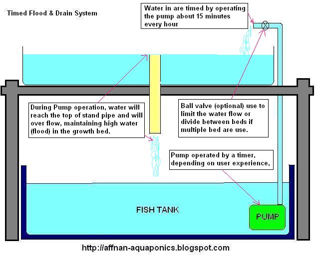 Affnan's Aquaponics: Timed Flood & Drain System