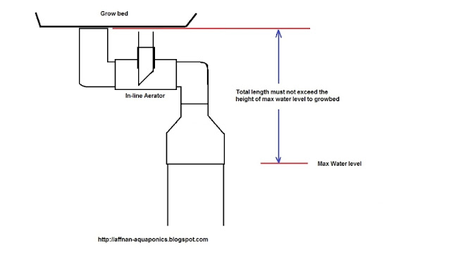 Affnan's Aquaponics: August 2010