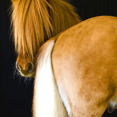 ModernSauce: Rode hard and put away wet