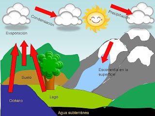 Ciclo de la Naturaleza: Ciclo del Agua
