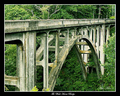 The BLUE RIDGE PHOTOGRAPHIC SOCIETY of North Carolina: 2nd Place Winner ...