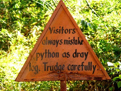 Wilderness Tales from Odisha: Satkosia at Tikarpada-Day 2