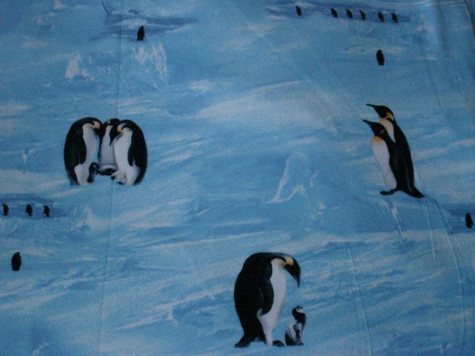 Pingviinid ja pidžaama | Segasummasuvila